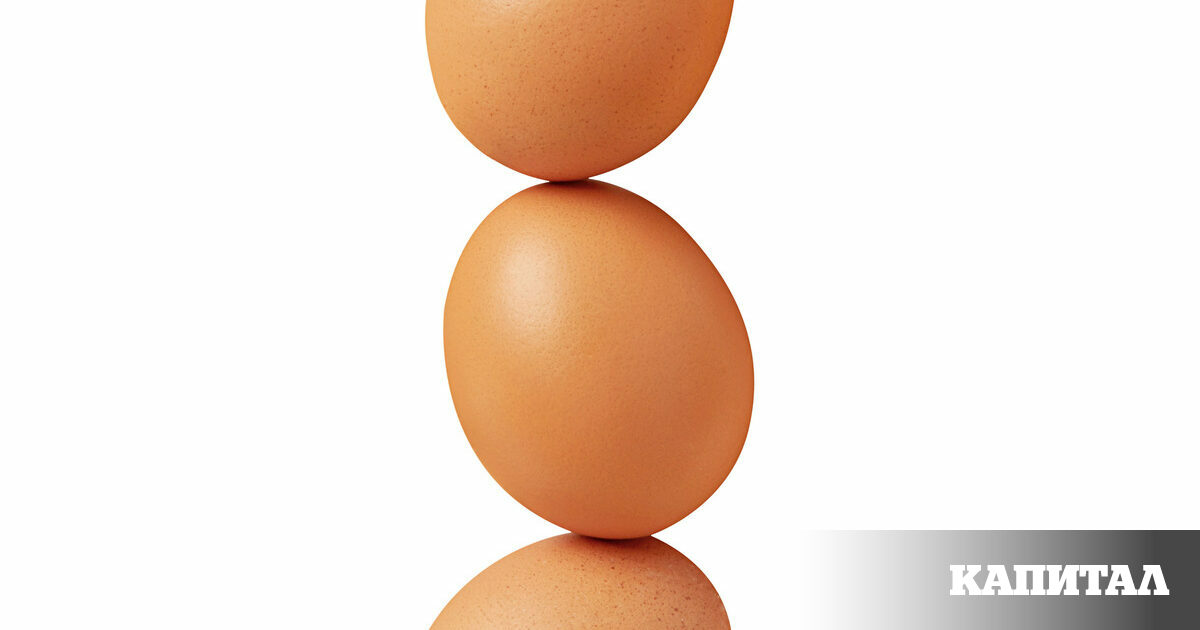 Най-големите BTL агенции в България