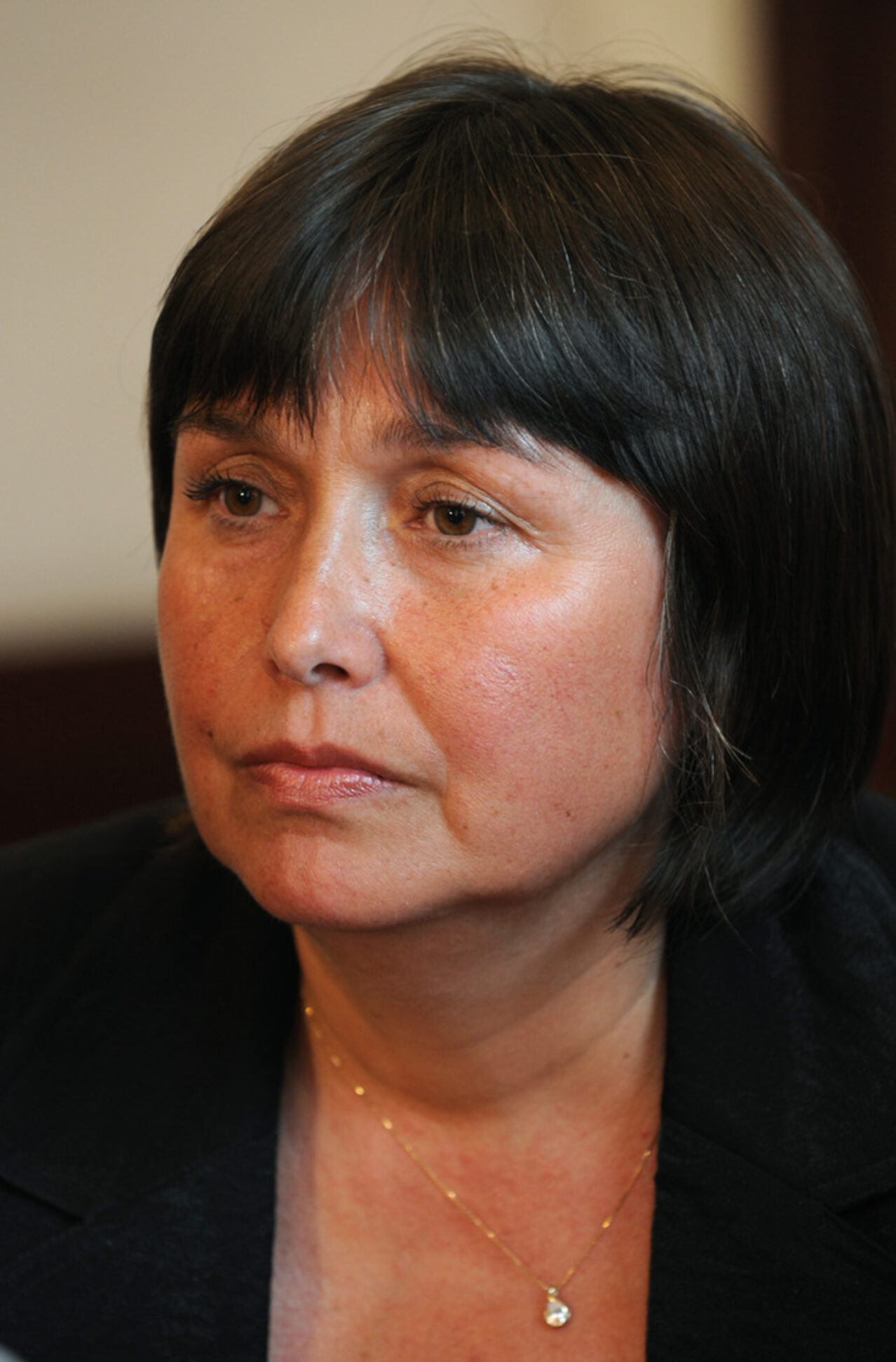 ГЕРБ уби Търговския регистър