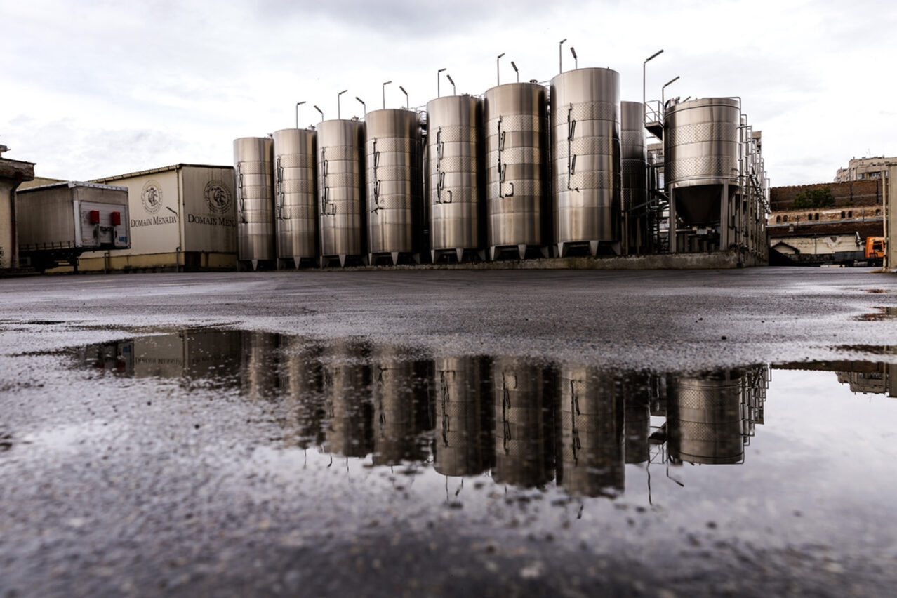 Menada Winery & Vineyards: местната компания, която която носи ...