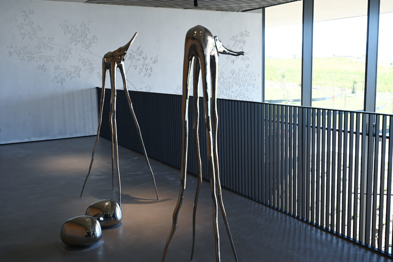 Aya Estate: Винен туризъм на следващо ниво